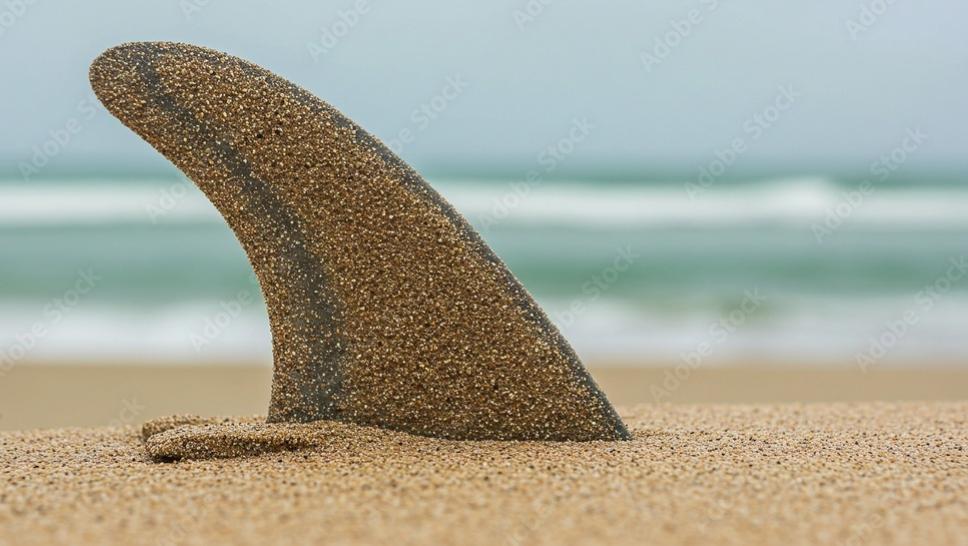 FCS vs Futures: Surfboard Fin Systems & Brands Explained | Fin Finder